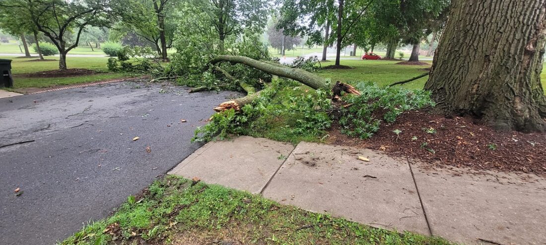 Brandon Park neighborhood hit by storm | News, Sports, Jobs ...